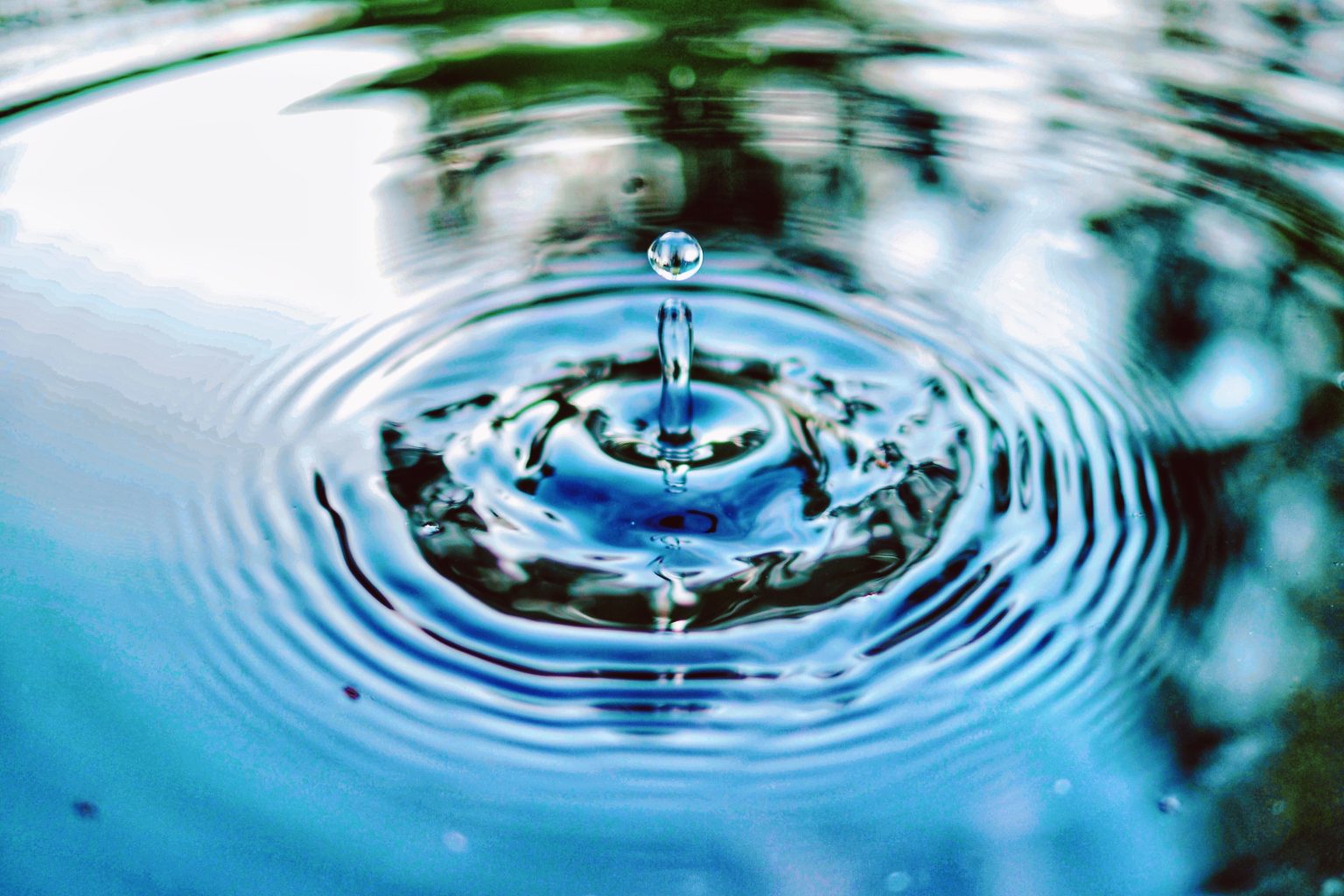 Water Quality - Osten Laboratory